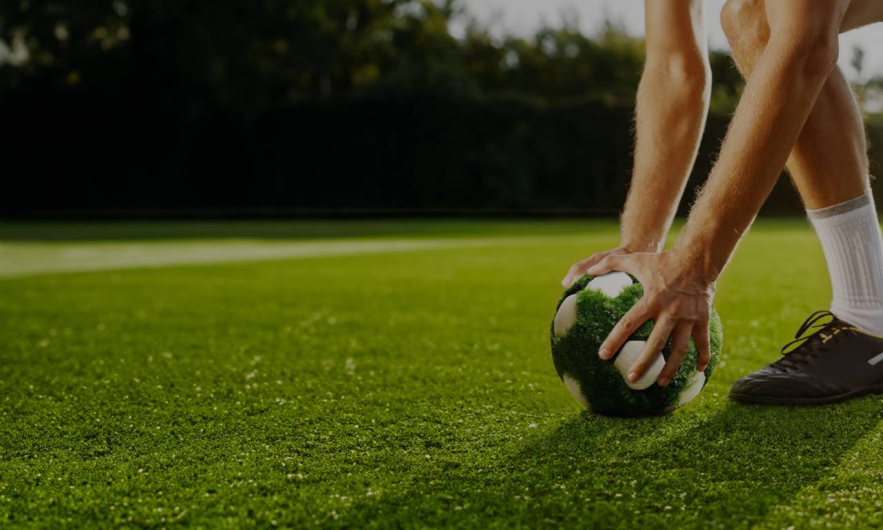 European Football Championship reforestation campaign | Football fields ...